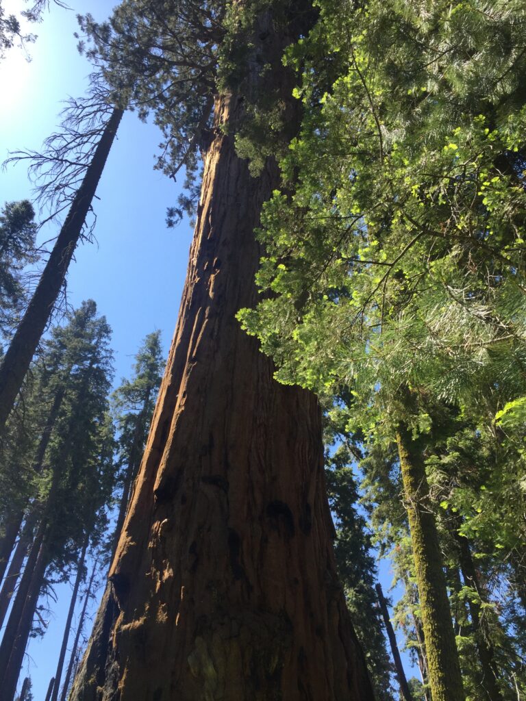 10 Steps to Take Control of Your Health – Part Two – Nutrition in a ...